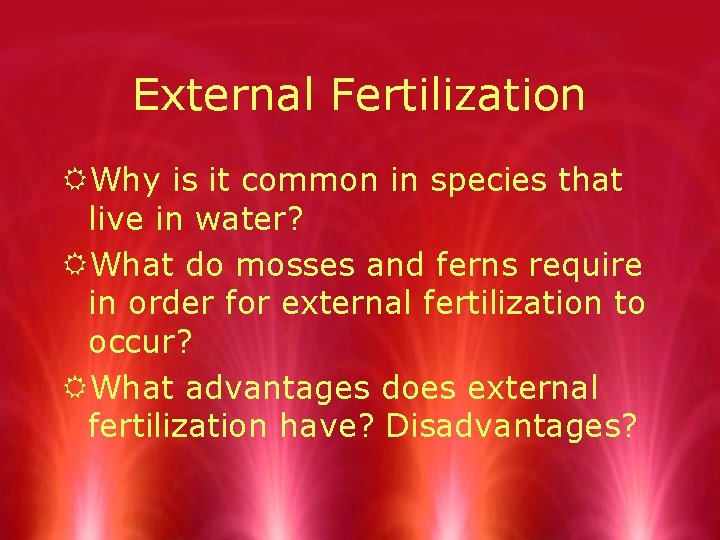 Lets talk about Sex Sexual reproduction that is