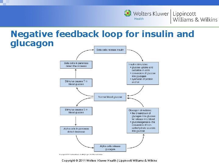 Chapter 9 Exercise for Those with Diabetes Copyright