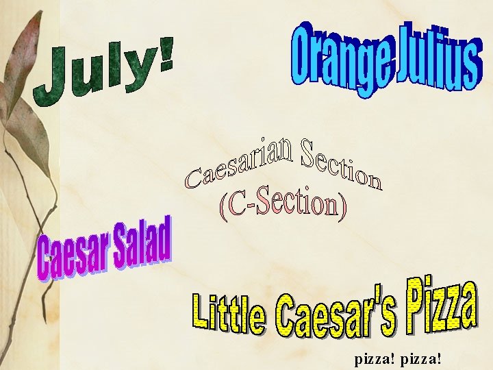 Julius Caesar 100 B C 44 B C