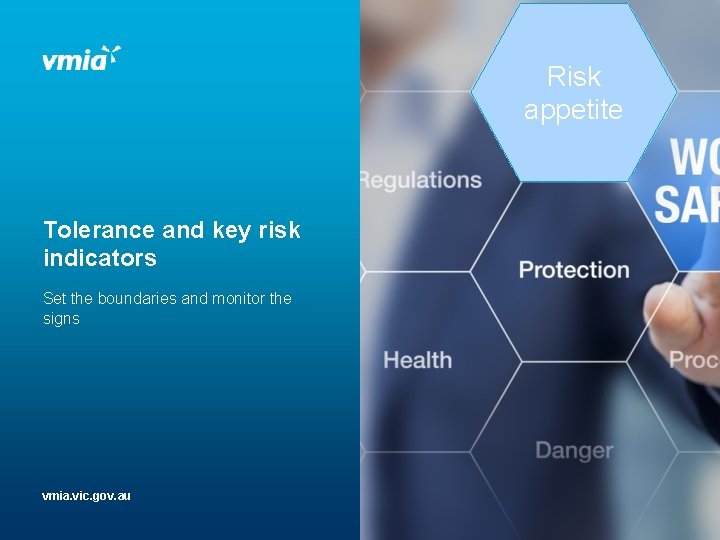 Risk appetite Tolerance and key risk indicators Set