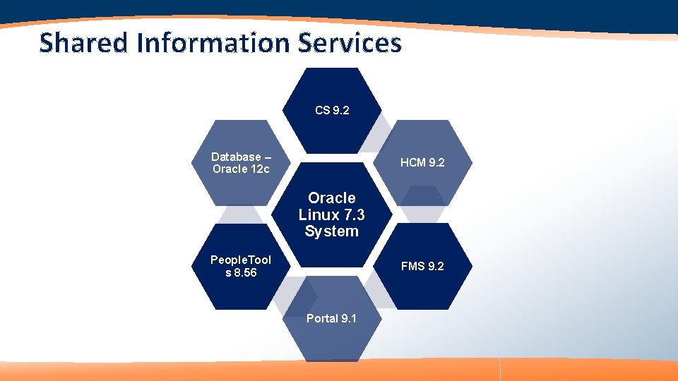 Edit Master text styles o Data Migration Workbench