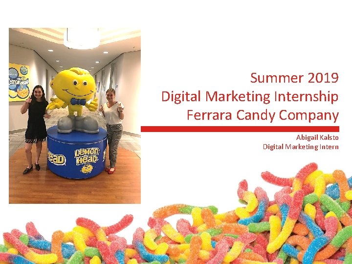 Summer 2019 Digital Marketing Internship Ferrara Candy Company