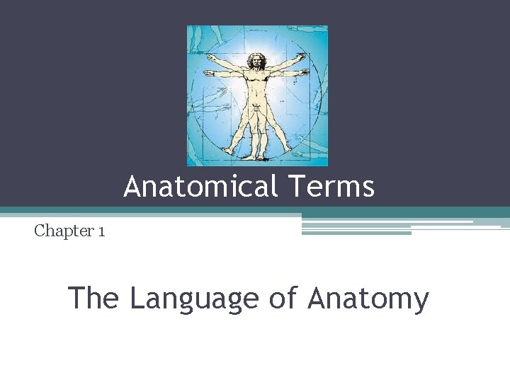 Anatomical Terms Chapter 1 The Language of Anatomy