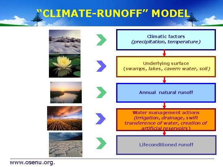 LOGO The basic lines of scientific research into
