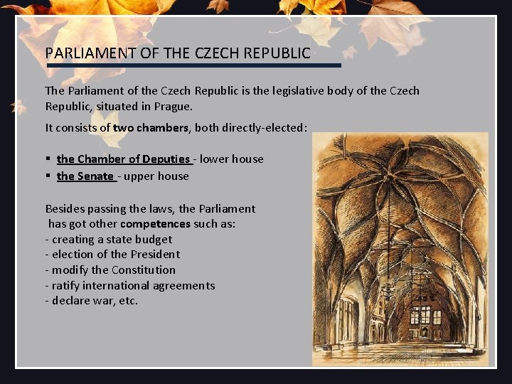 THE POLITICAL STRUCTURE OF THE CZECH REPUBLIC PARLIAMENT