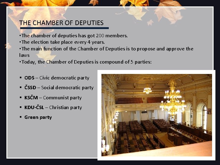 THE POLITICAL STRUCTURE OF THE CZECH REPUBLIC PARLIAMENT