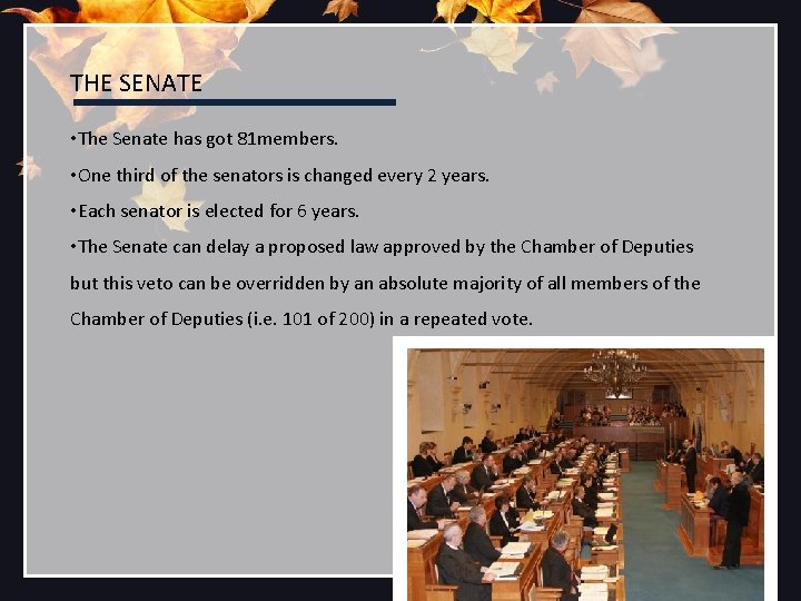 THE POLITICAL STRUCTURE OF THE CZECH REPUBLIC PARLIAMENT