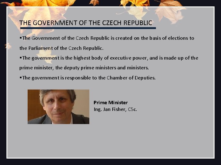 THE POLITICAL STRUCTURE OF THE CZECH REPUBLIC PARLIAMENT