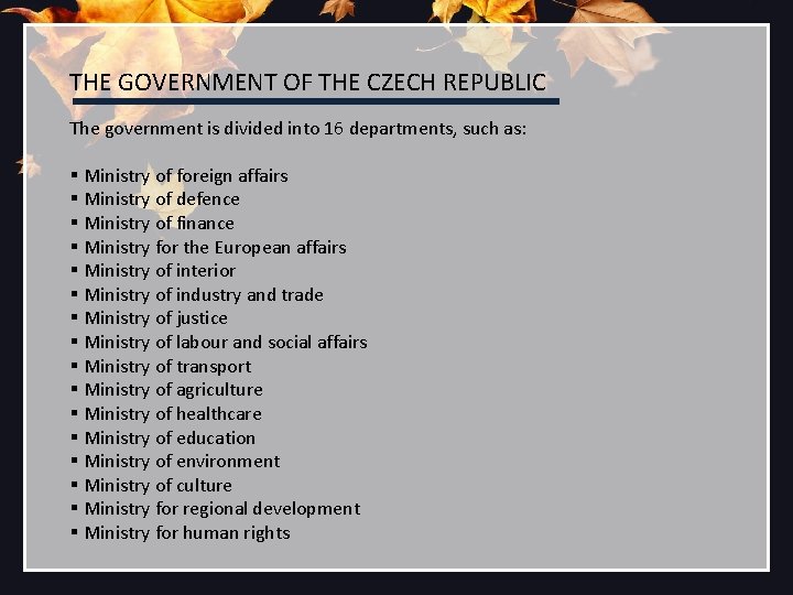 THE POLITICAL STRUCTURE OF THE CZECH REPUBLIC PARLIAMENT
