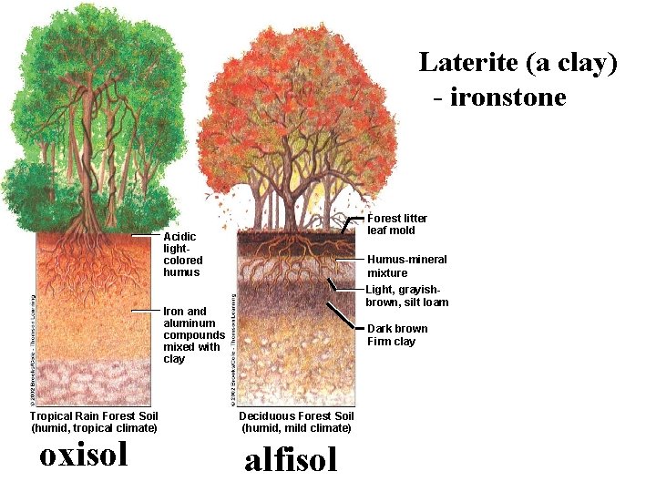 Soil Agriculture and Hunger Things well talk about