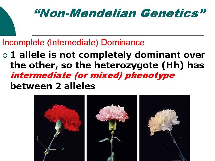 Chapter 14 Part 4 NONMENDELIAN INHERITANCE PATTERNS AP