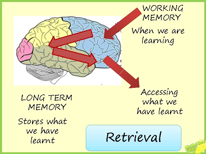 Supporting Students Revision Nikki Cooper mathszest Knowledge Application