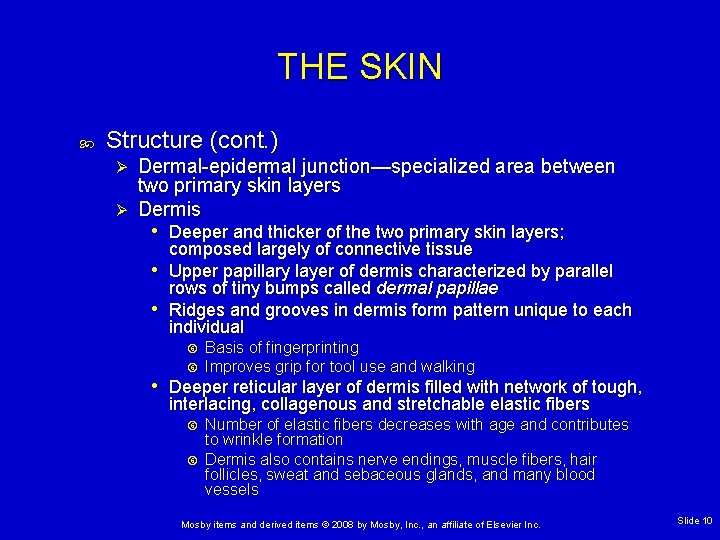Chapter 5 The Integumentary System and Body Membranes