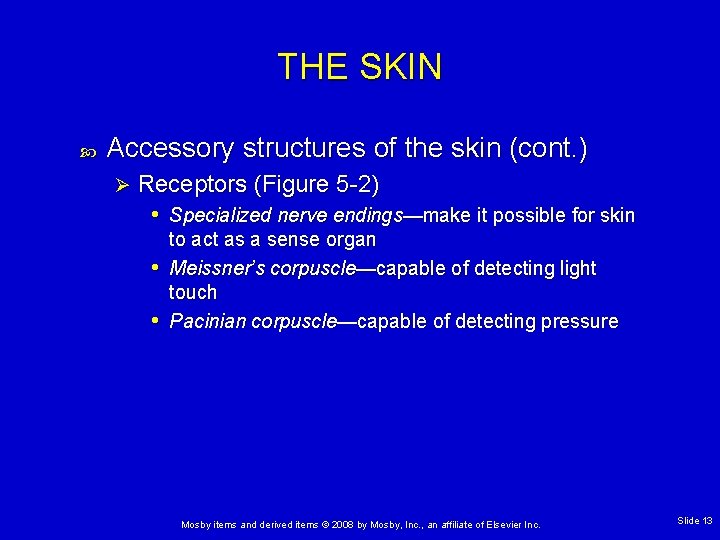 Chapter 5 The Integumentary System and Body Membranes