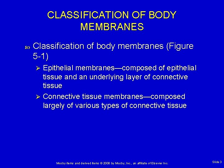 Chapter 5 The Integumentary System and Body Membranes
