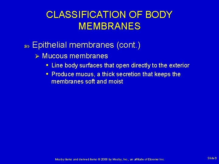 Chapter 5 The Integumentary System and Body Membranes