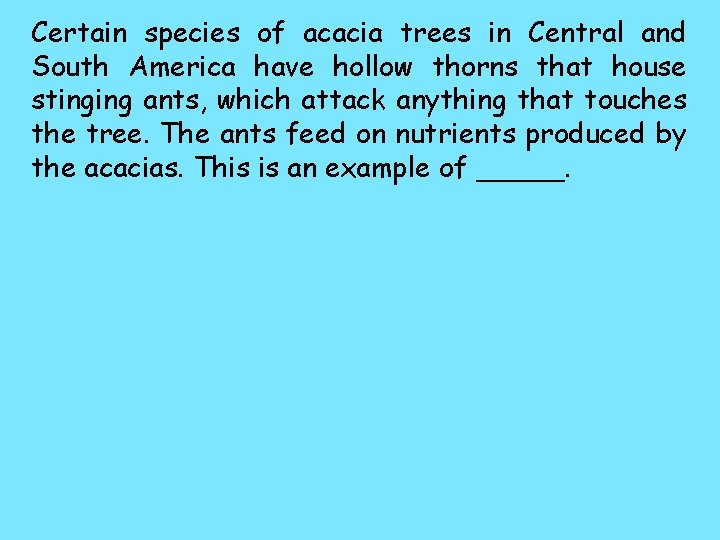 Certain species of acacia trees in Central and