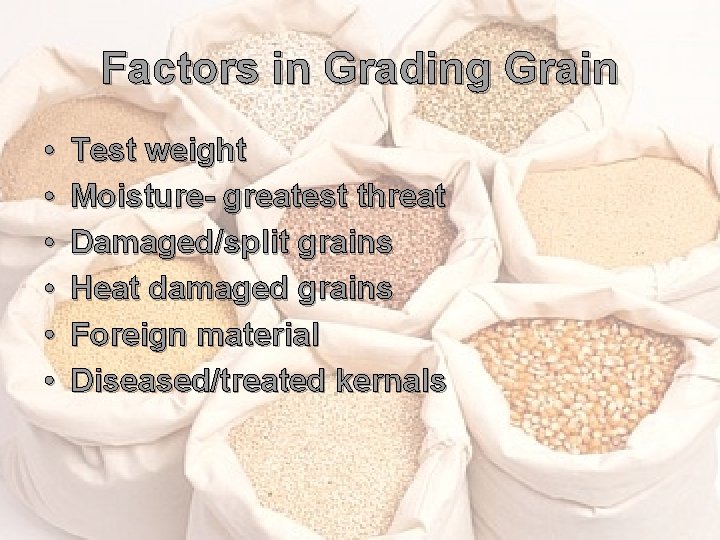 Lesson 10 Processing of Grain Crops Study Questions