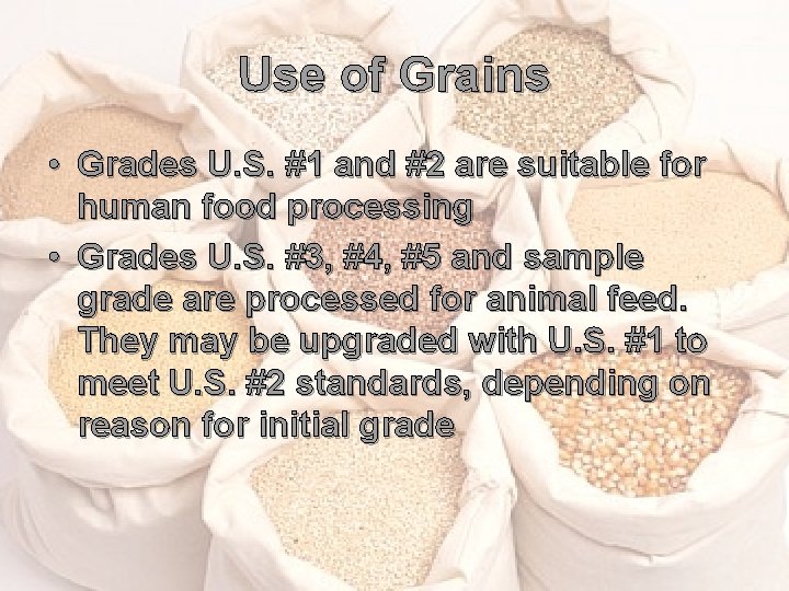 Lesson 10 Processing of Grain Crops Study Questions