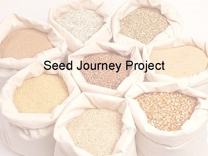 Lesson 10 Processing of Grain Crops Study Questions