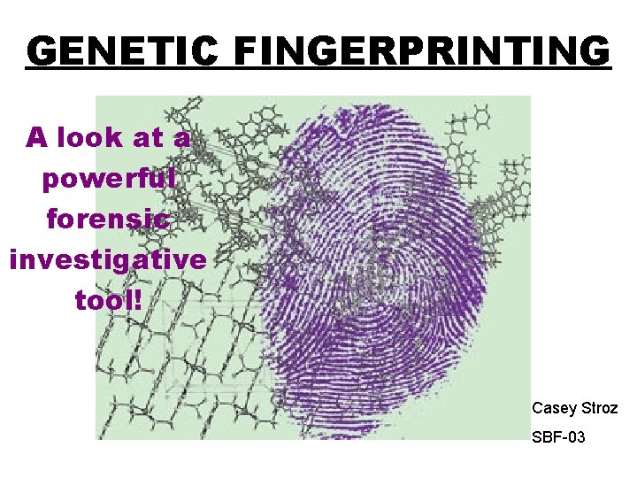 GENETIC FINGERPRINTING A look at a powerful forensic