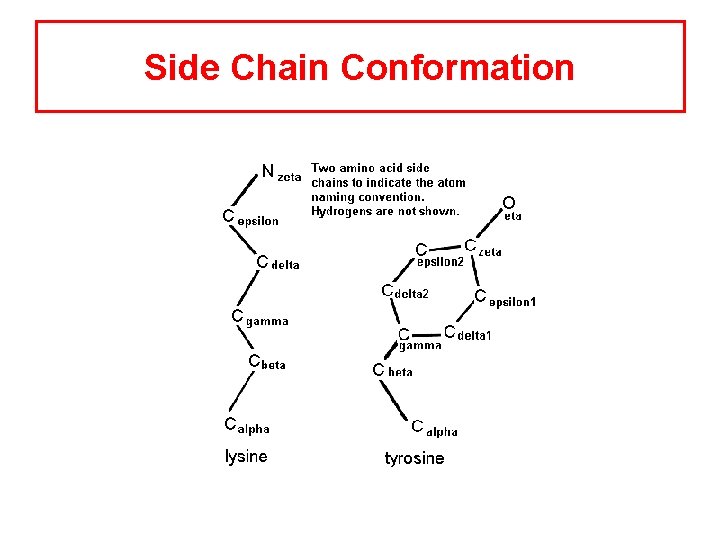 Molecular Biophysics Lecture 2 Protein Structure II 12824