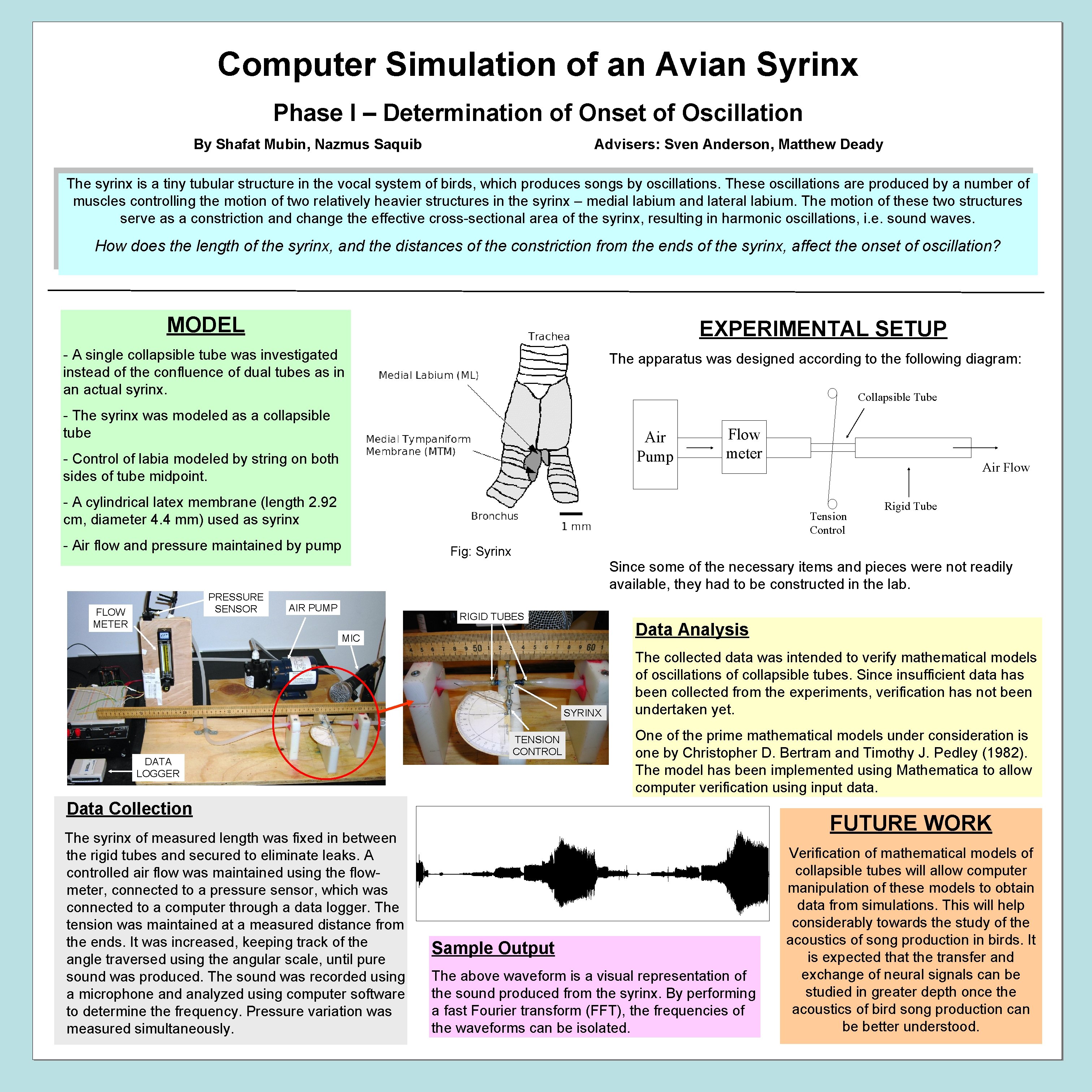 Computer Simulation of an Avian Syrinx Phase I