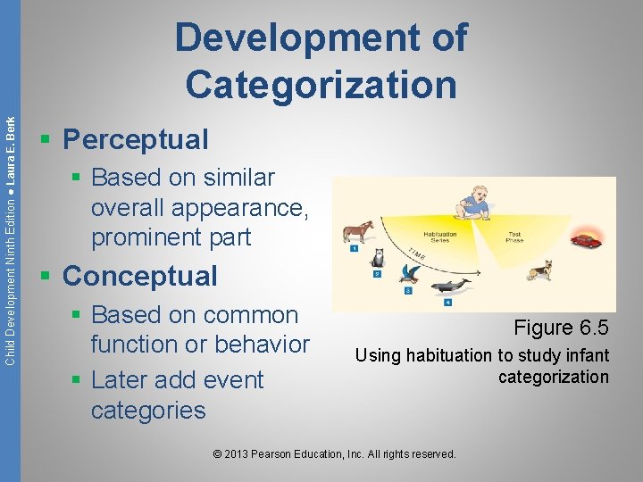 Child Development Ninth Edition Laura E Berk Chapter