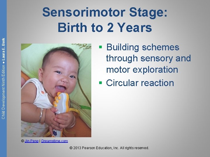 Child Development Ninth Edition Laura E Berk Chapter