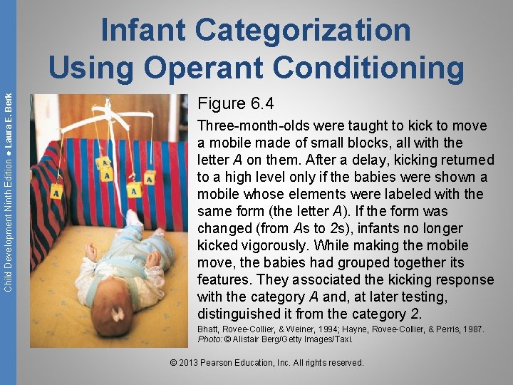 Child Development Ninth Edition Laura E Berk Chapter