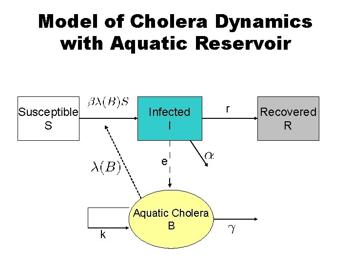 Modeling the 20001 Cholera Epidemic in South Africa