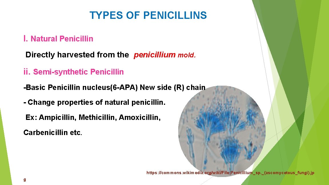 FERMENTATIVE PRODUCTION OF PENICILLIN MICROBIOLOGY N Praveena Kumari