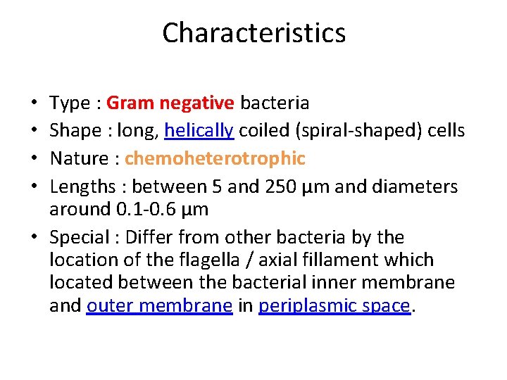 Spirillaceae Bacteria Spirochaetes Family Spirochaetaceae ...