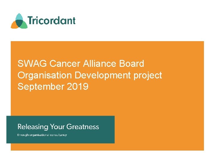 SWAG Cancer Alliance Board Organisation Development project September