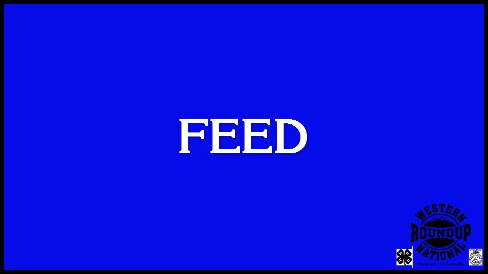 FEED HEALTH SELECTION DISEASES EXERCISE REPRODUCTION FEED HEALTH