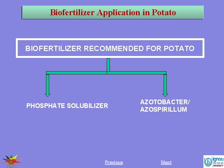Biofertilizer Application in Potato Introduction For planting potato