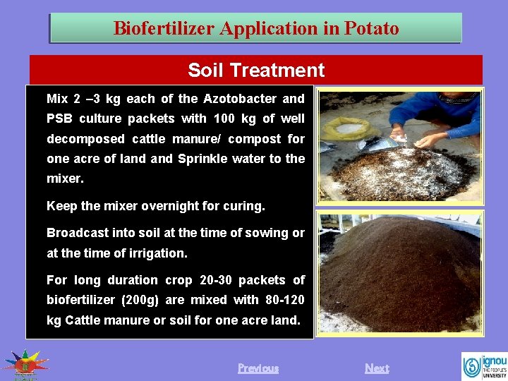 Biofertilizer Application in Potato Introduction For planting potato