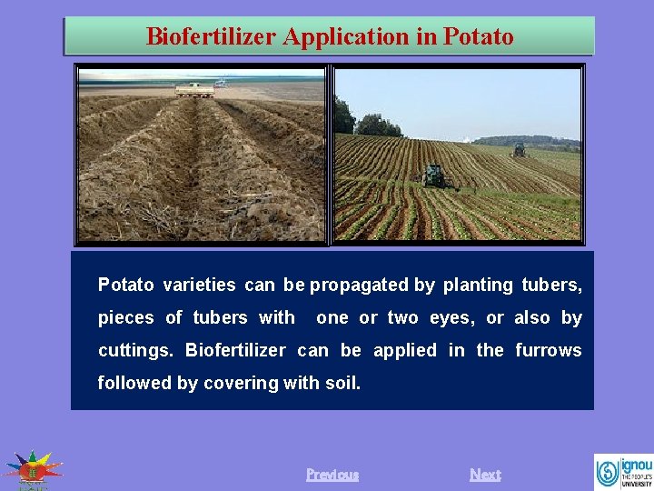 Biofertilizer Application in Potato Introduction For planting potato