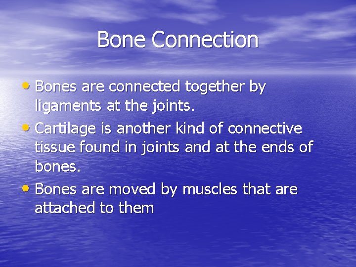 Your Skeletal System Bones Your bones are part