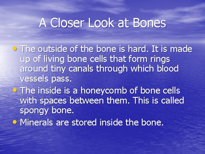 Your Skeletal System Bones Your bones are part