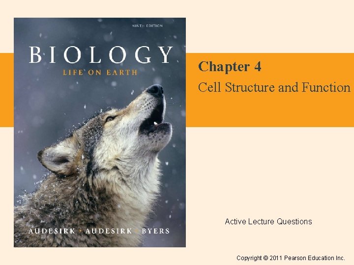 Chapter 4 Cell Structure and Function Active Lecture