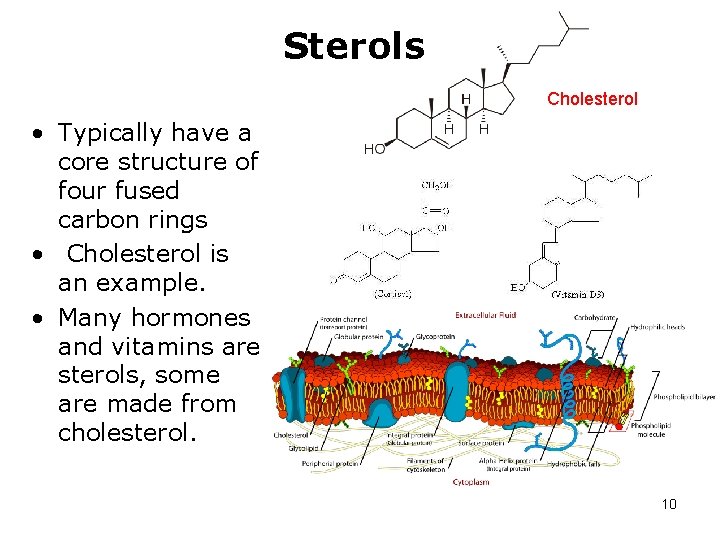 Face the Fats The Biochemistry of Lipids by