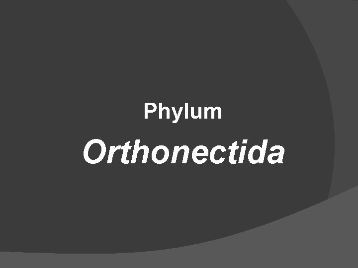 Phylum Orthonectida Caractersicas gerais Orthonectida do grego orthos