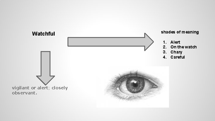 50 shades of meaning by Rodrigo Hernandez Surveillance