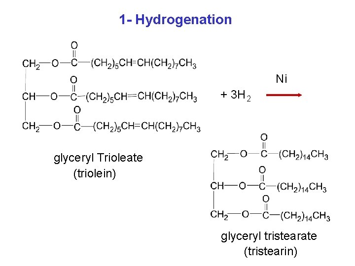 Chemistry B 11 Chapter 15 Lipids Lipids Family