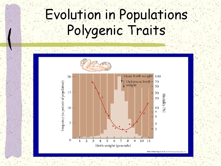 Evolution in Populations Single Gene Traits Can lead