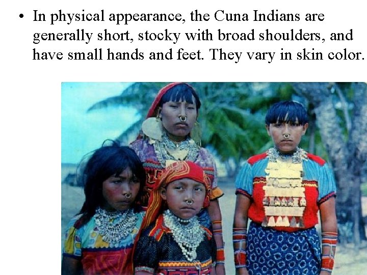 MOLA Art from the San Blas Islands Cuna