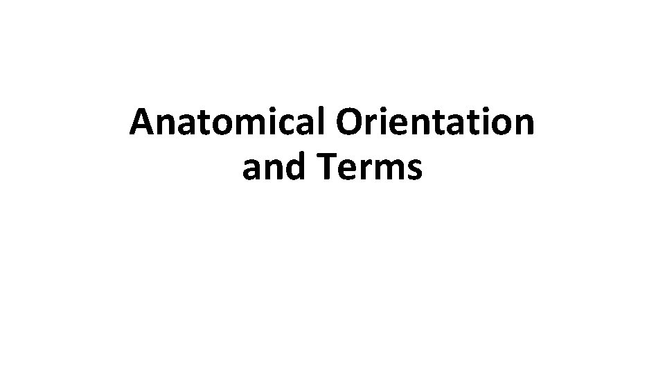 Anatomical Orientation and Terms ANATOMICAL PLANES PLANE imaginary