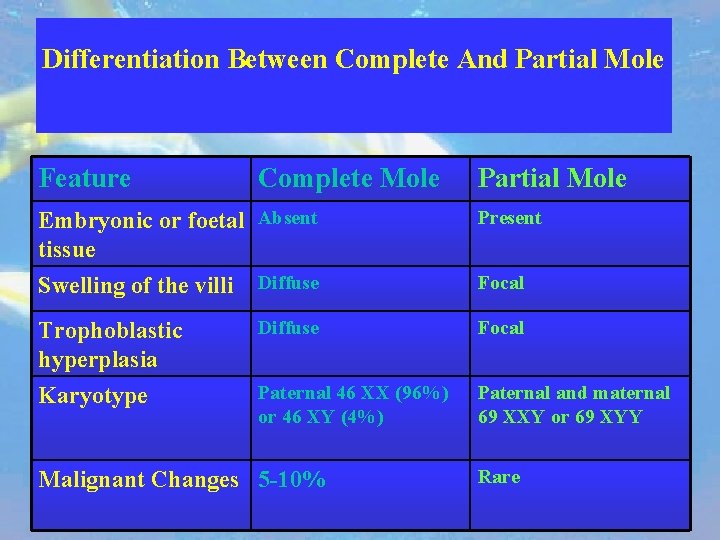 Vesicular Mole Dr MOHAMMED ABDALLA EGYPT DOMIAT G