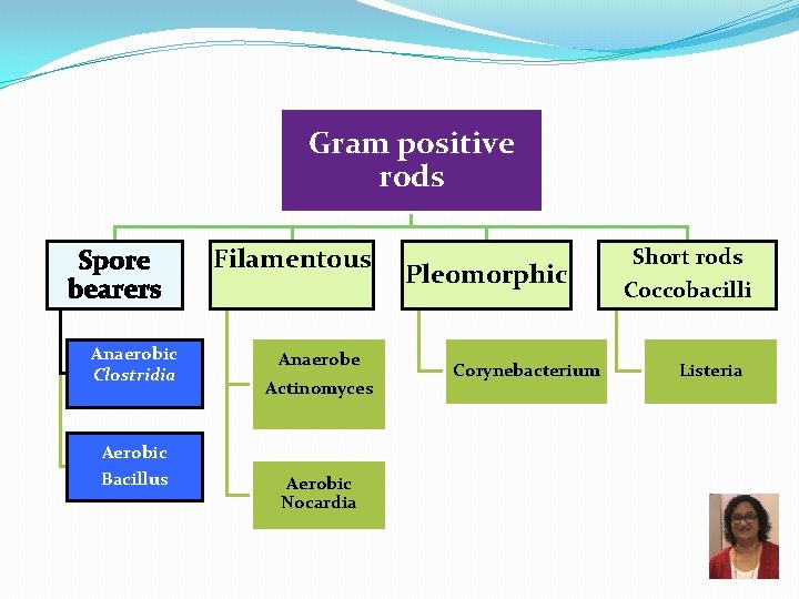 Lower Respiratory Tract Infections Part 2 Bacterial infections